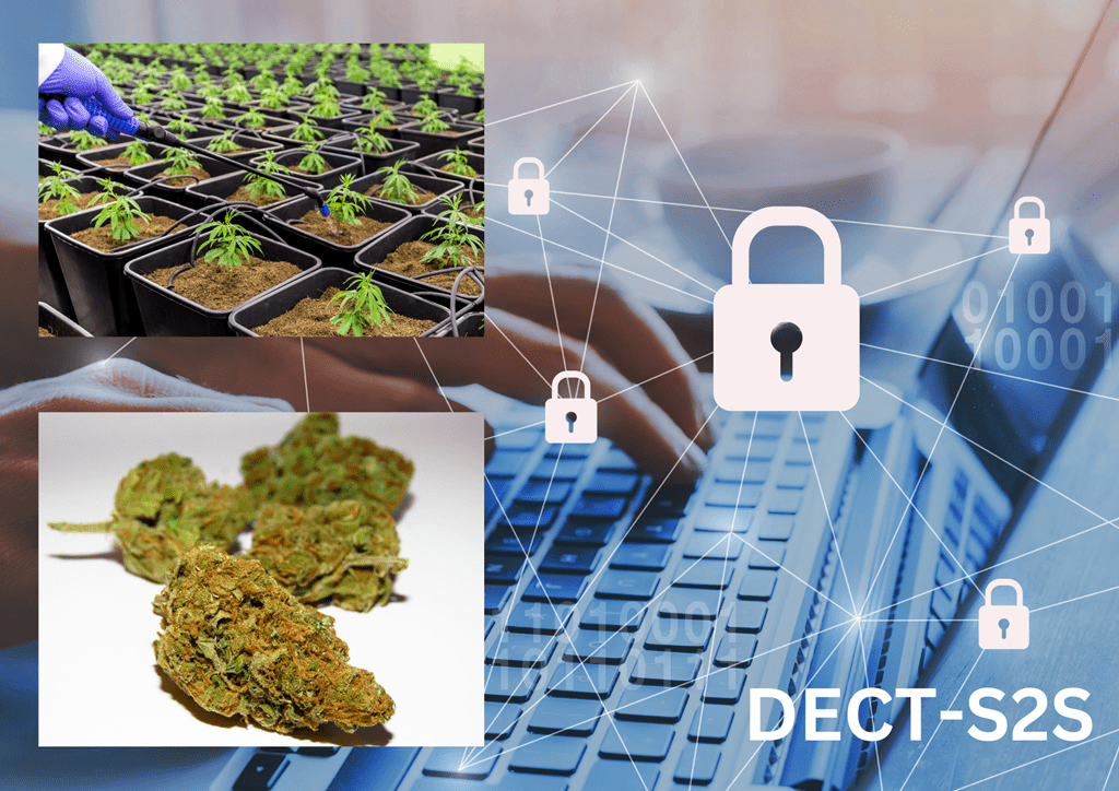 Deutscher Cannabis Token (DECT) – World’s First Real Cannabis Token